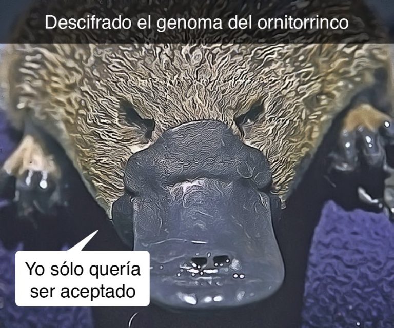 Bichos raros | Develooping